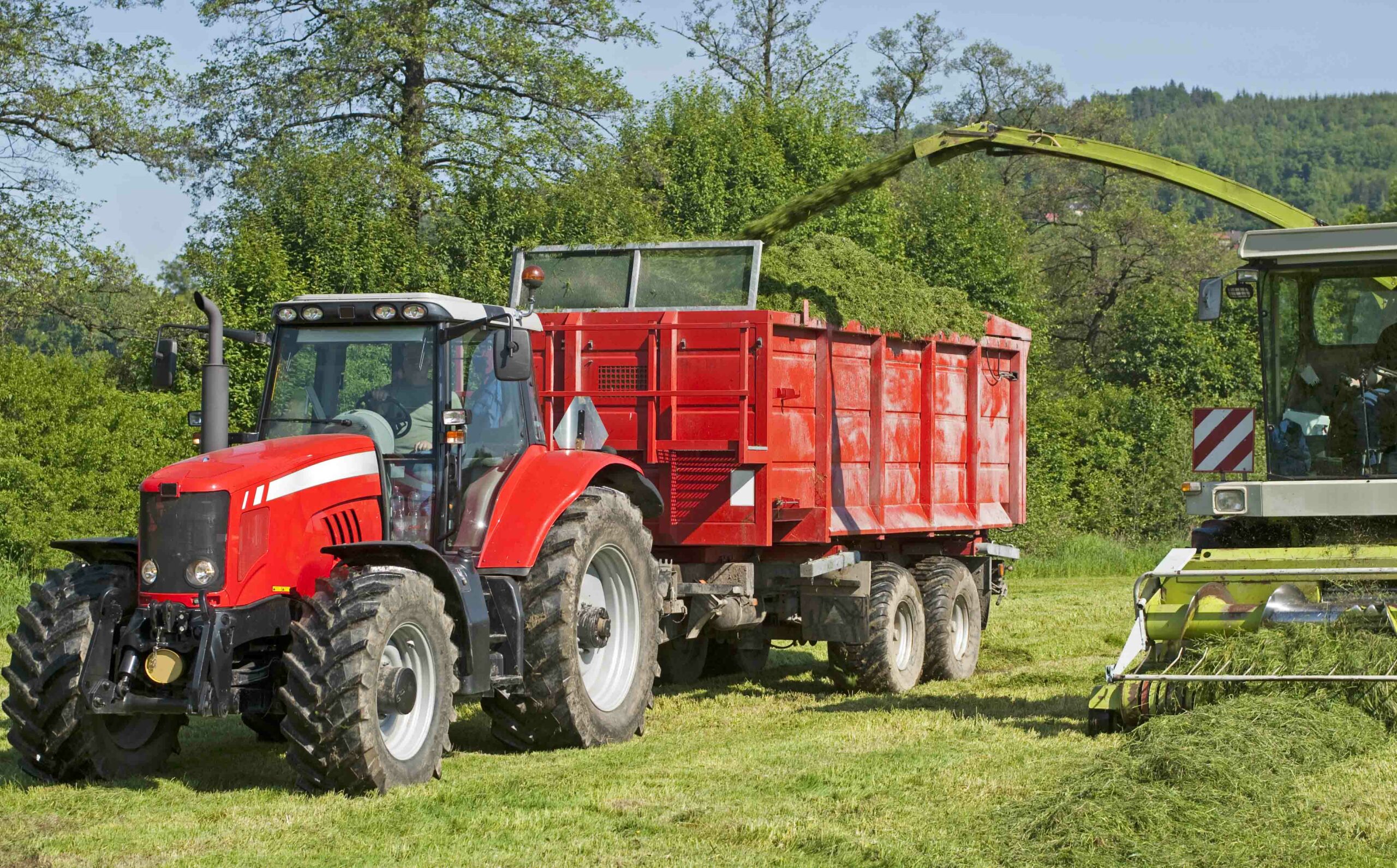Hay & Silage Problems & Probiotic Plus Solutions