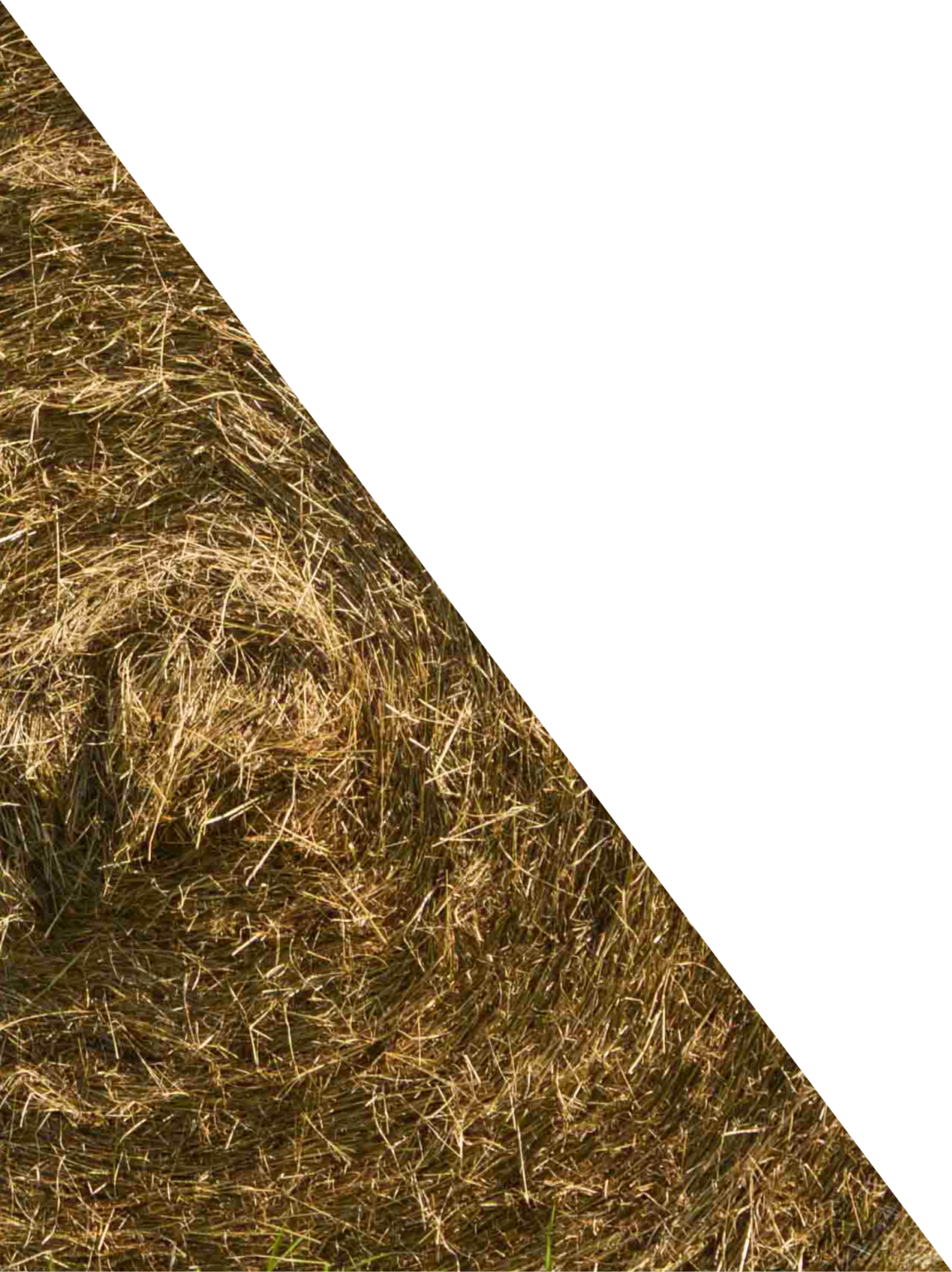 Culbac® Hay Preservative - Dry: Mold, Mildew, Yeast and Bad Bacteria ...