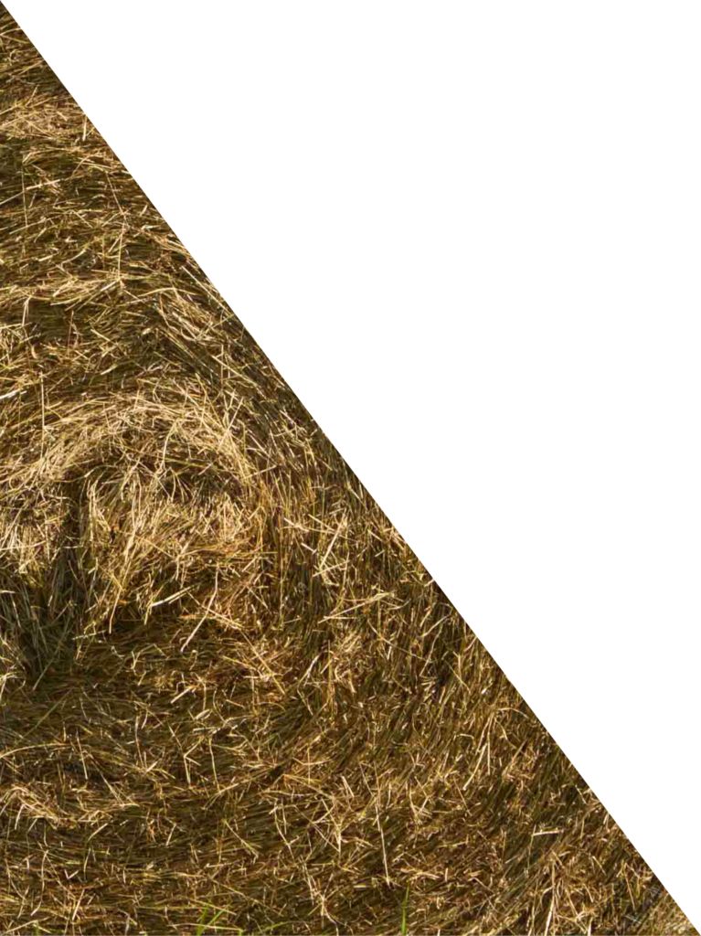 Culbac® Hay Preservative - Dry: Mold, Mildew, Yeast and Bad Bacteria ...