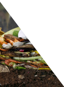 Culbac® Compost Aid: Bacterias cultivadas para su compost - TransAgra