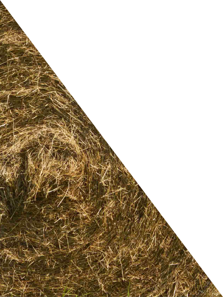 Culbac® Hay Preservative - Liquid: Mold, Mildew, Yeast and Bad Bacteria ...